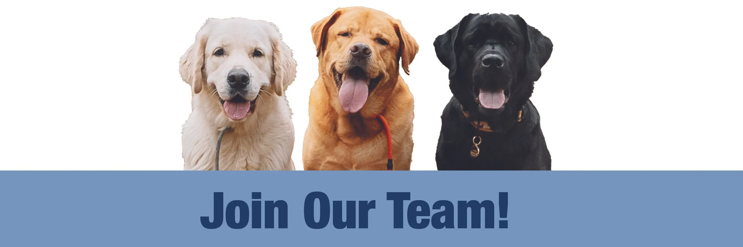 Careers — Ontario County Humane Society, Happy Tails Animal Shelter