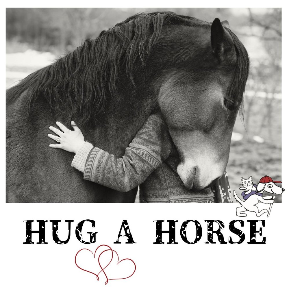 Blog 1 — Ontario County Humane Society, Happy Tails Animal Shelter