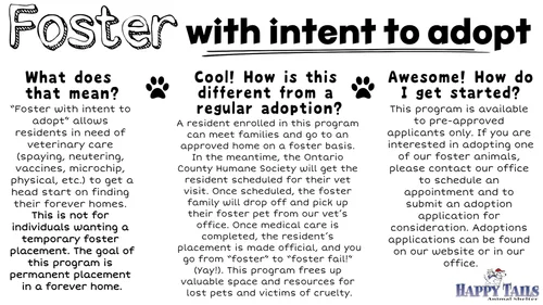 Foster — Ontario County Humane Society, Happy Tails Animal Shelter