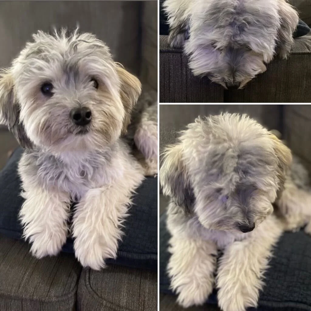 People - The Fink Lab