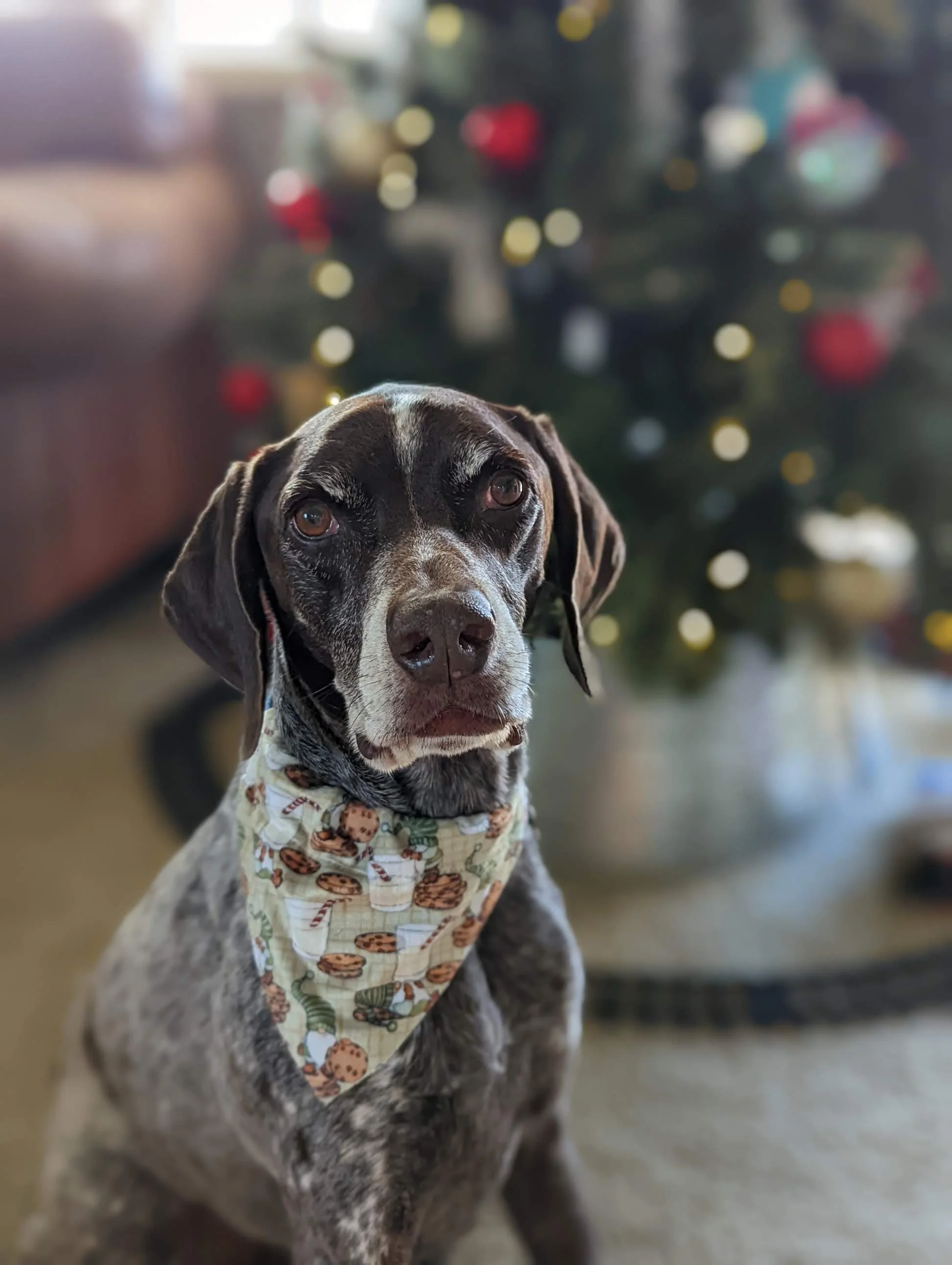 People - The Fink Lab