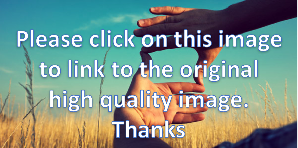 Video 25 — Haroun Education Ventures, Inc.