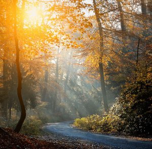 Brightside Financial Care