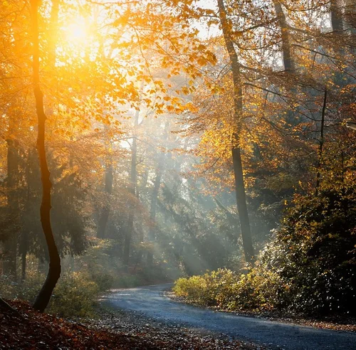 Brightside Financial Care