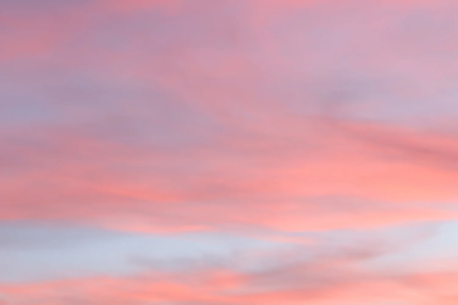 Levity Wellness Center