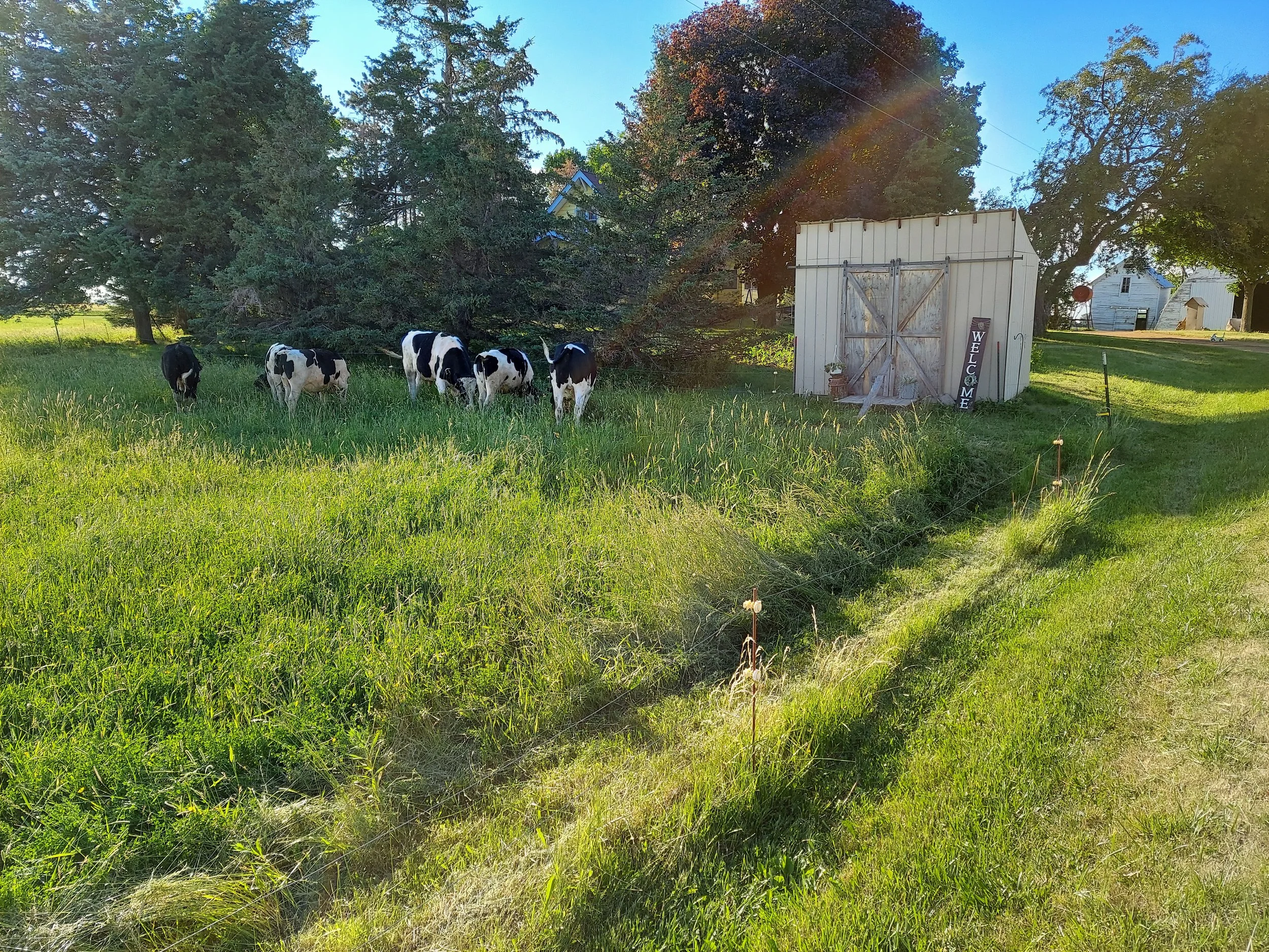 How Our Dream to Get from the Cities to the Farm Took a U-turn ...