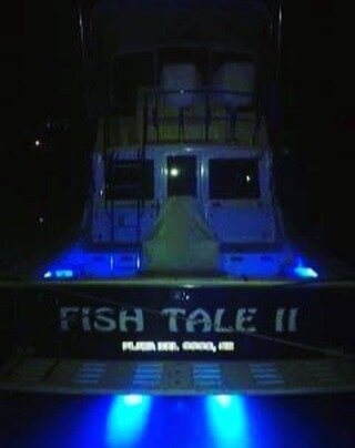 Fish Tale 2