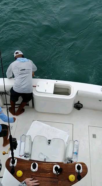 The Boat — Fish Tale 2