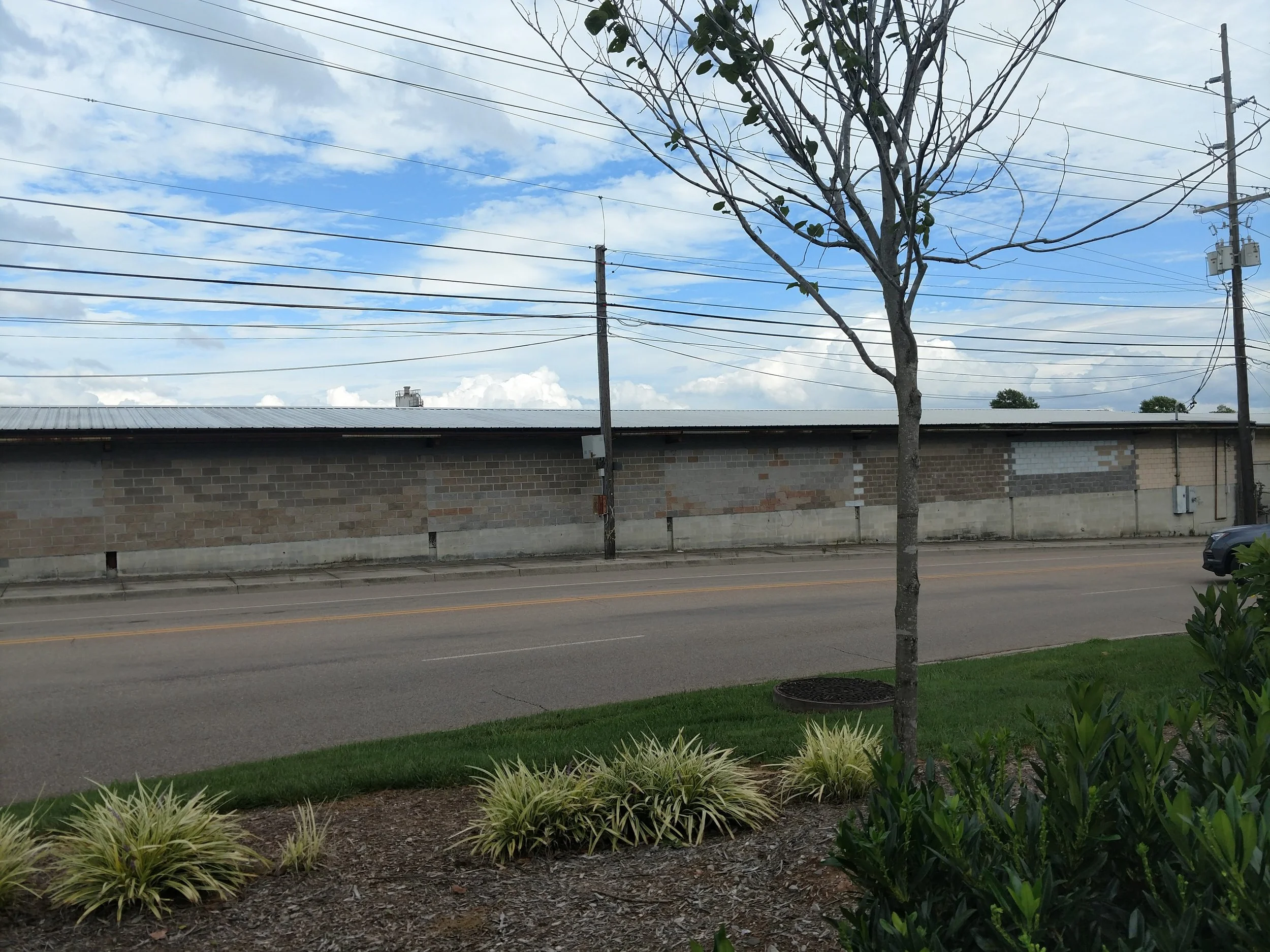 Marble City — Megan Lingerfelt