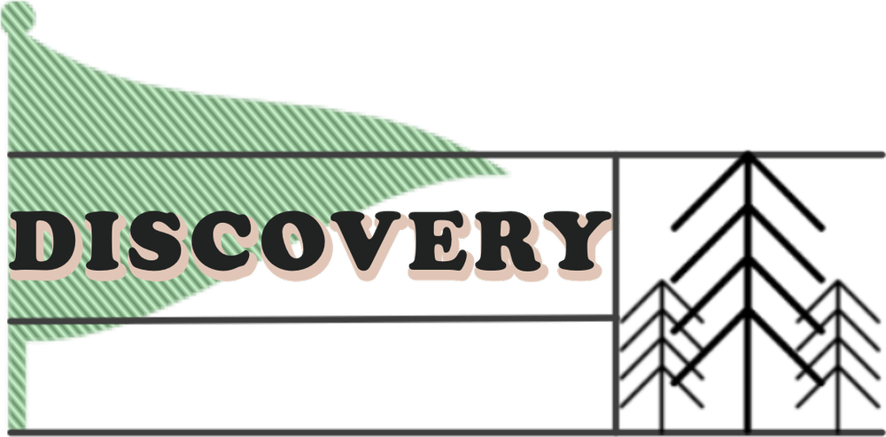 Tocobaga - SMB B2C B2B Business Strategy Advisory | Integrated ...