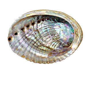 Store 2 — The Chaotic Lily