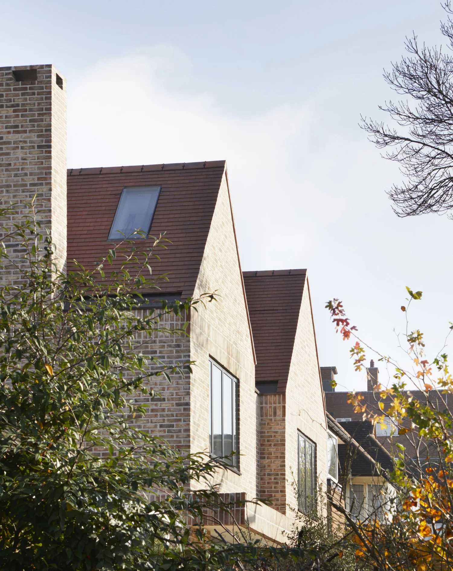 Deepdene Road — ROBIN LEE ARCHITECTURE