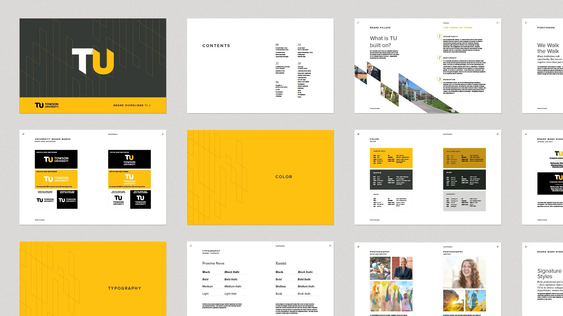Towson University Rebrand — Luke Andersen