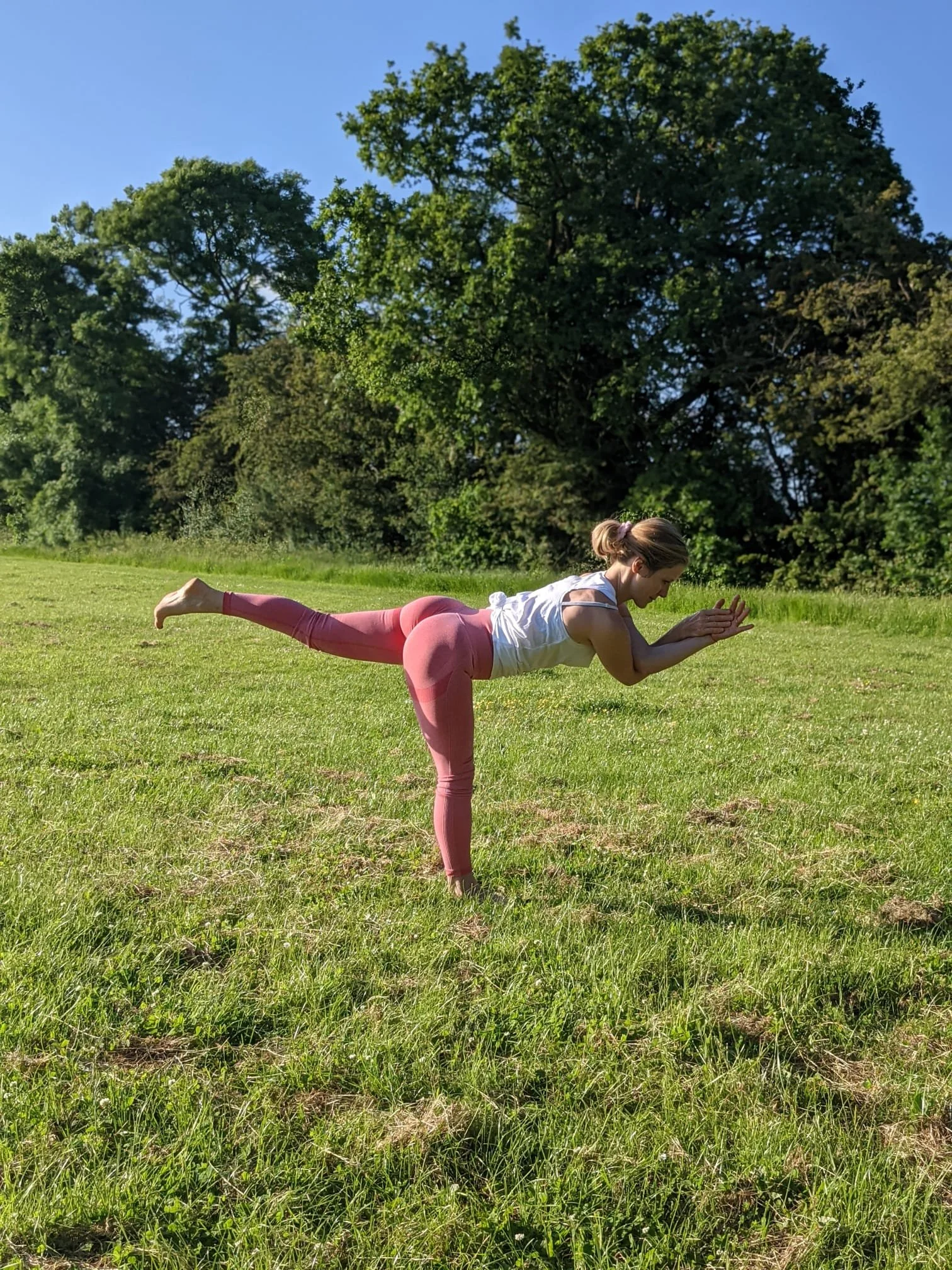 THE YOGA VINE