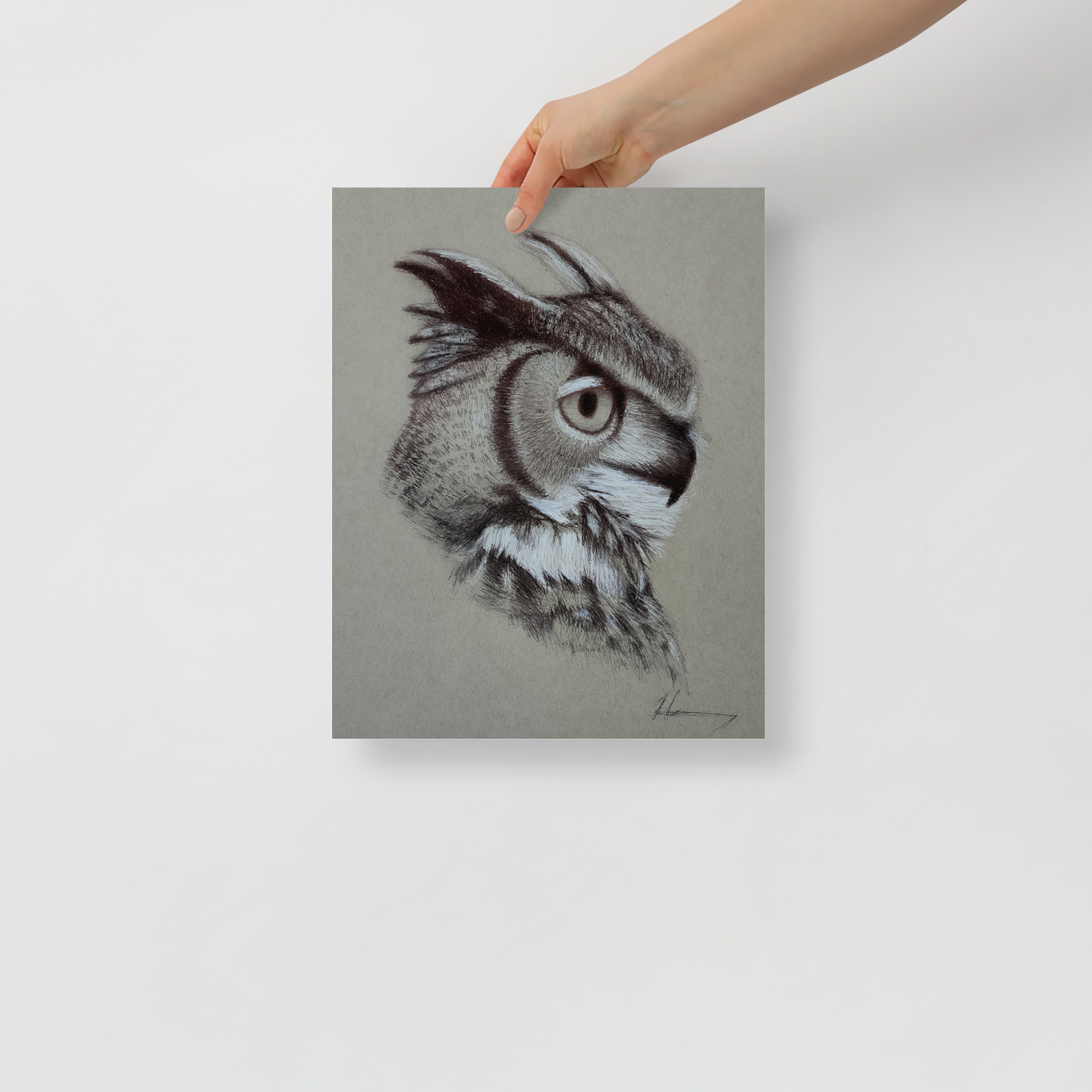 Pencil Drawings Of Owls