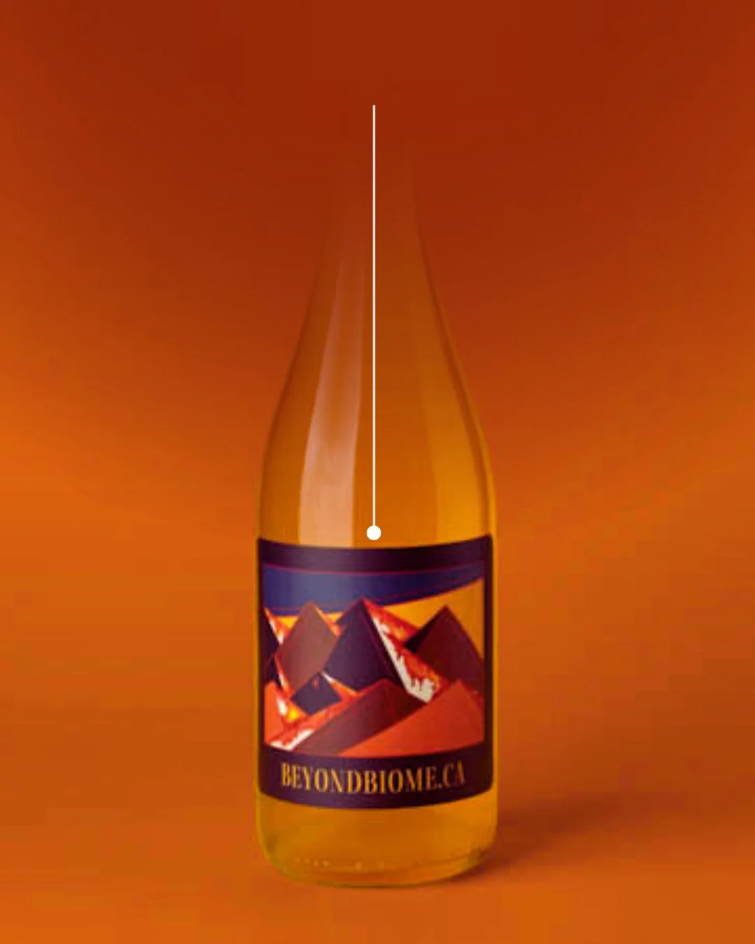 Kefir vs Kombucha — BEYOND BIOME