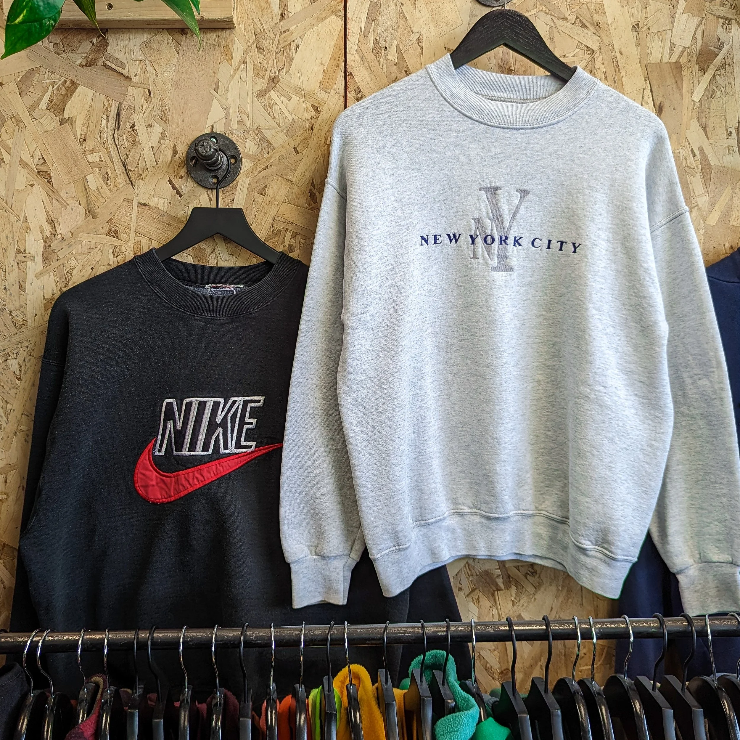 Evergreen Ithaca | Sustainability Blog | Ithaca New York