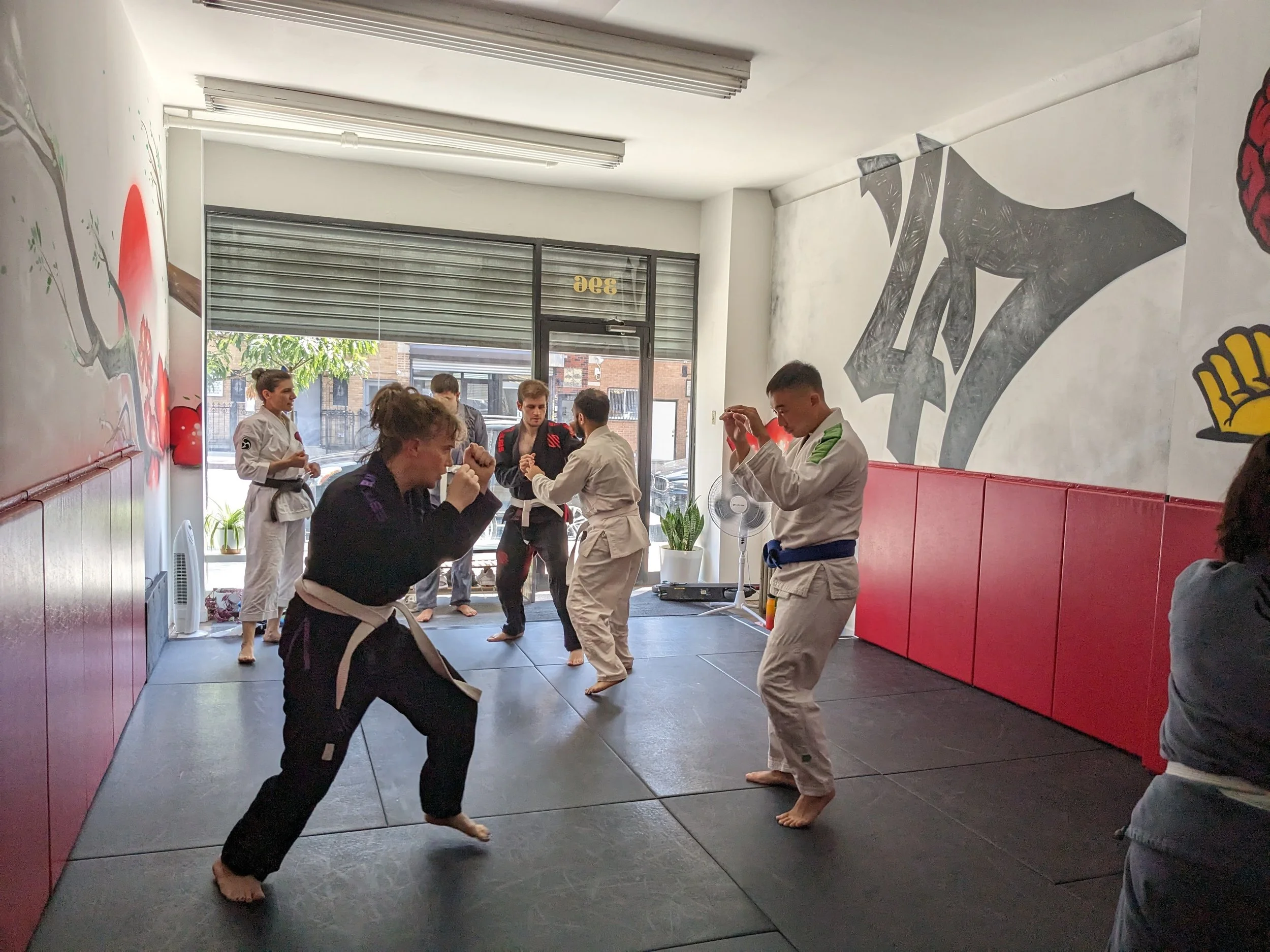 Traditional Okinawan Shorin Ryu Karate Brooklyn New York Crown Heights ...