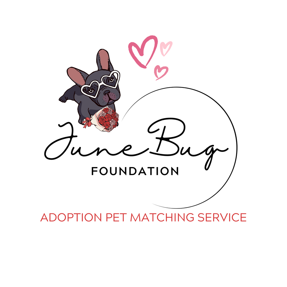 Services — Junebug Foundation