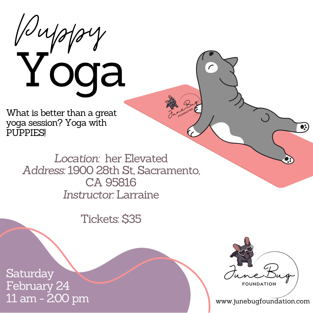 Events — Junebug Foundation