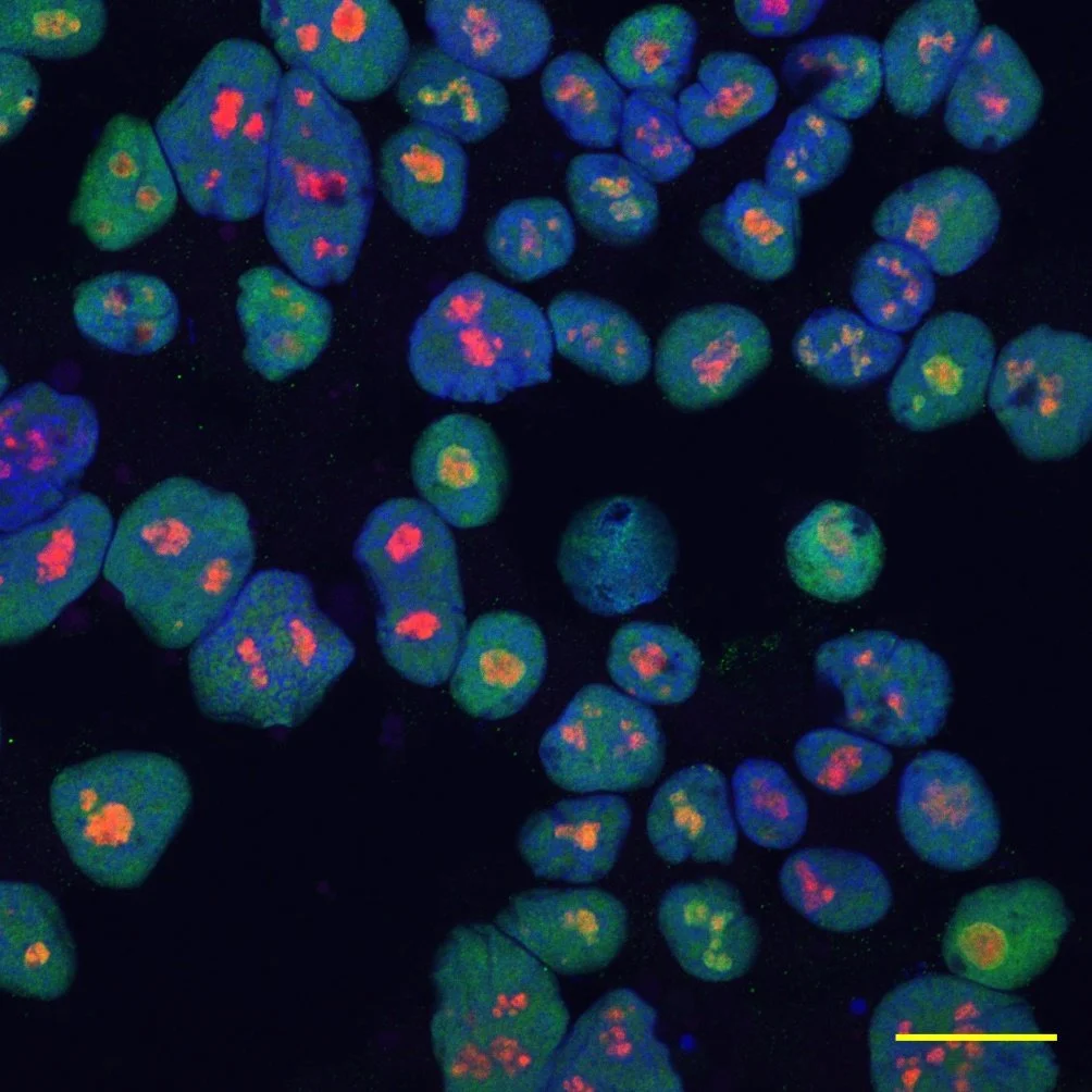 Group Members — Cravatt Lab Website