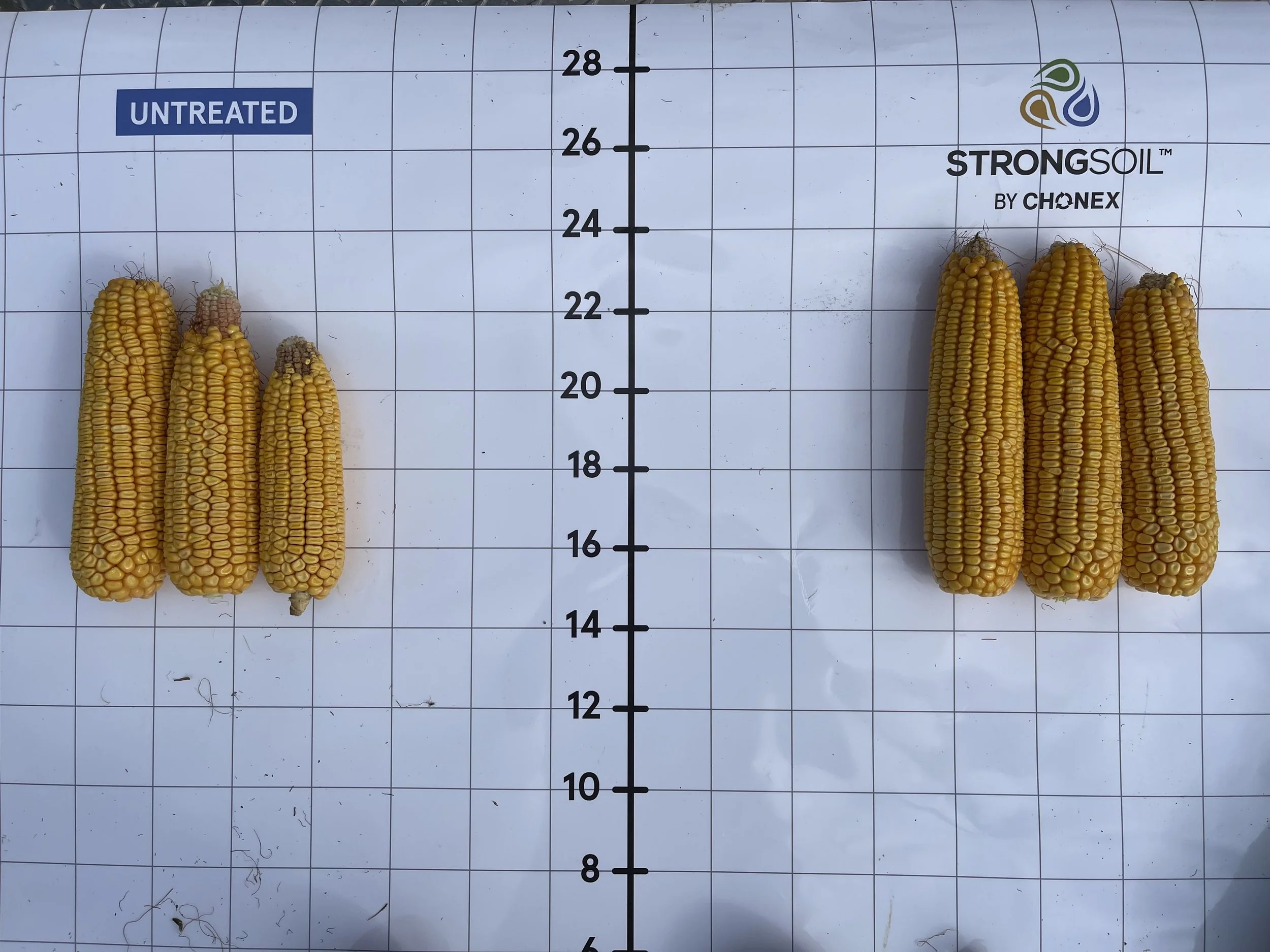 About StrongSoil — Chonex