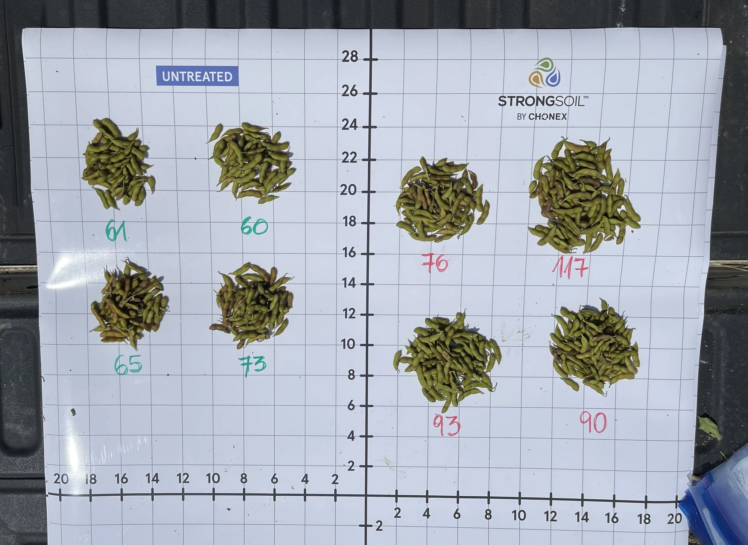 StrongSoil™ — Chonex