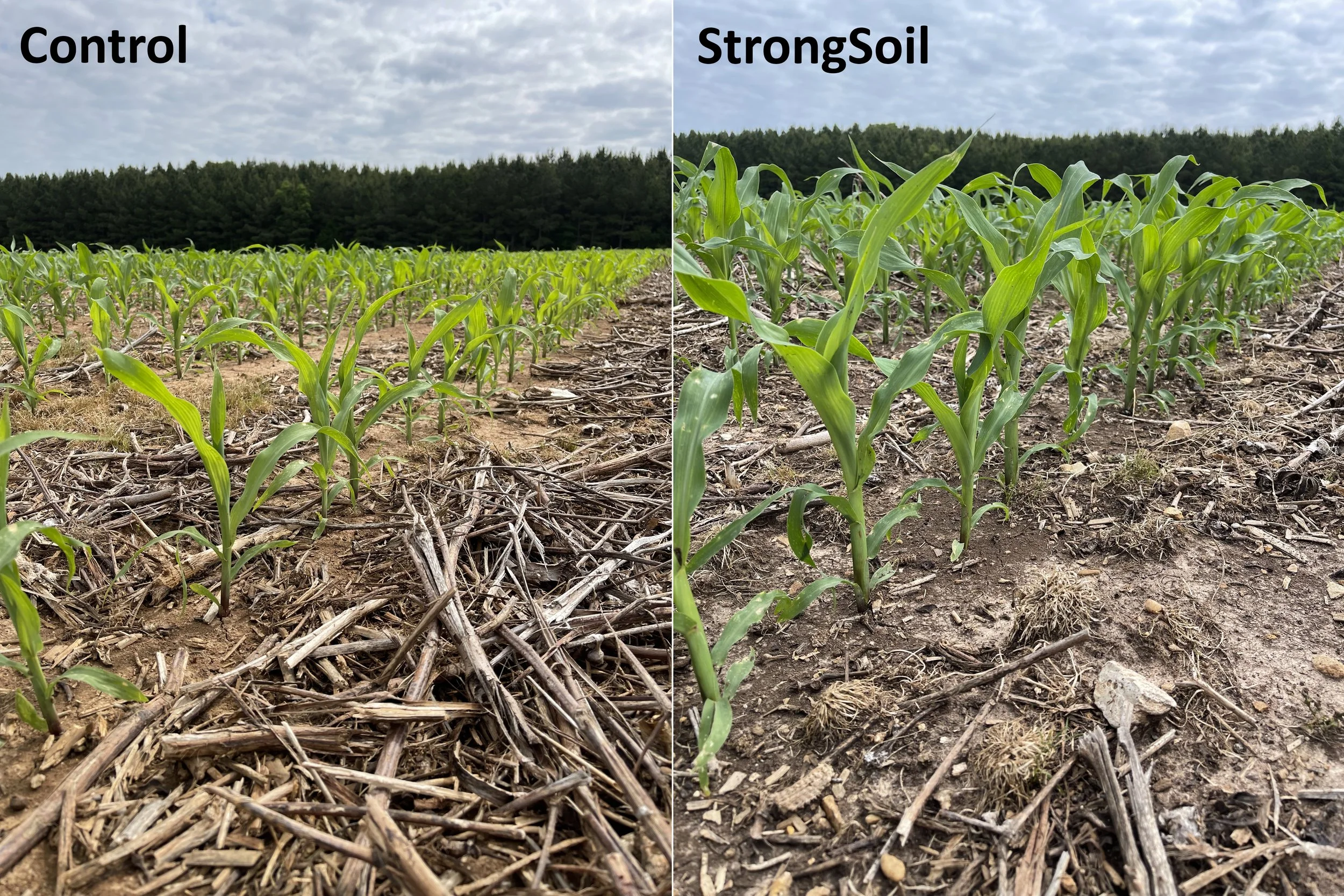 StrongSoil™ — Chonex