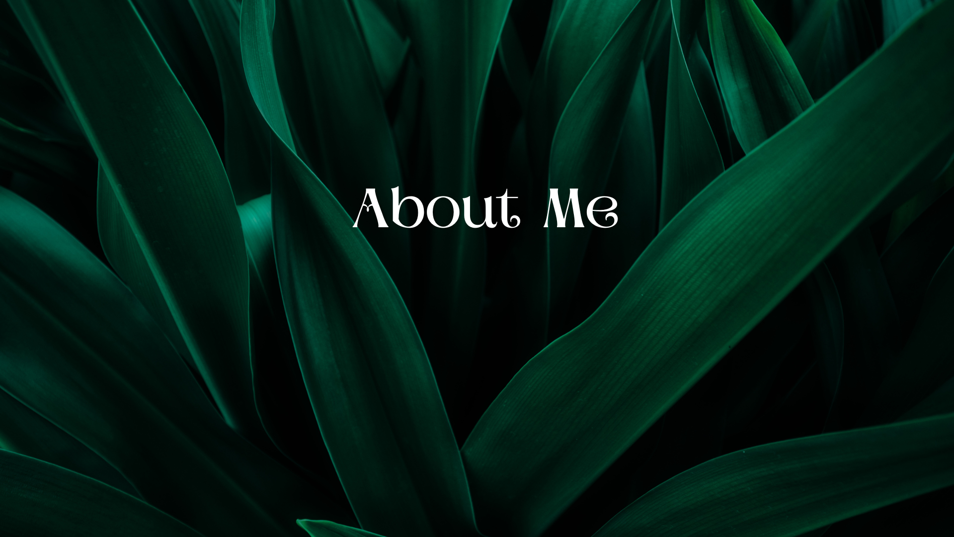 Portfolio — Learning Leaf Designs Sophia Neuber