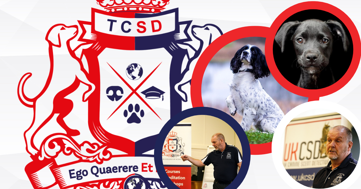 College of Scent Dogs-The College of Scent Dogs