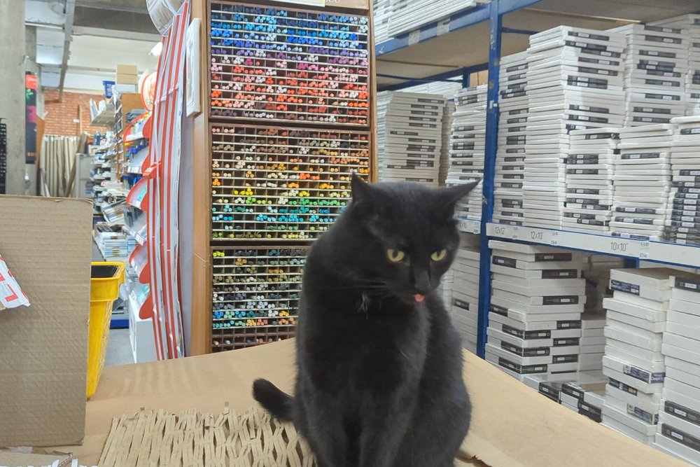 An Artist’s Guide to 9 of the Best Art Shops in London (2025) — PAWSHIRE