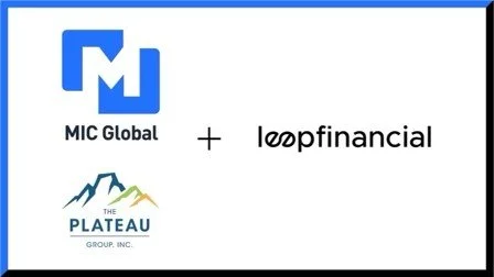 Plateau Insights — The Plateau Group