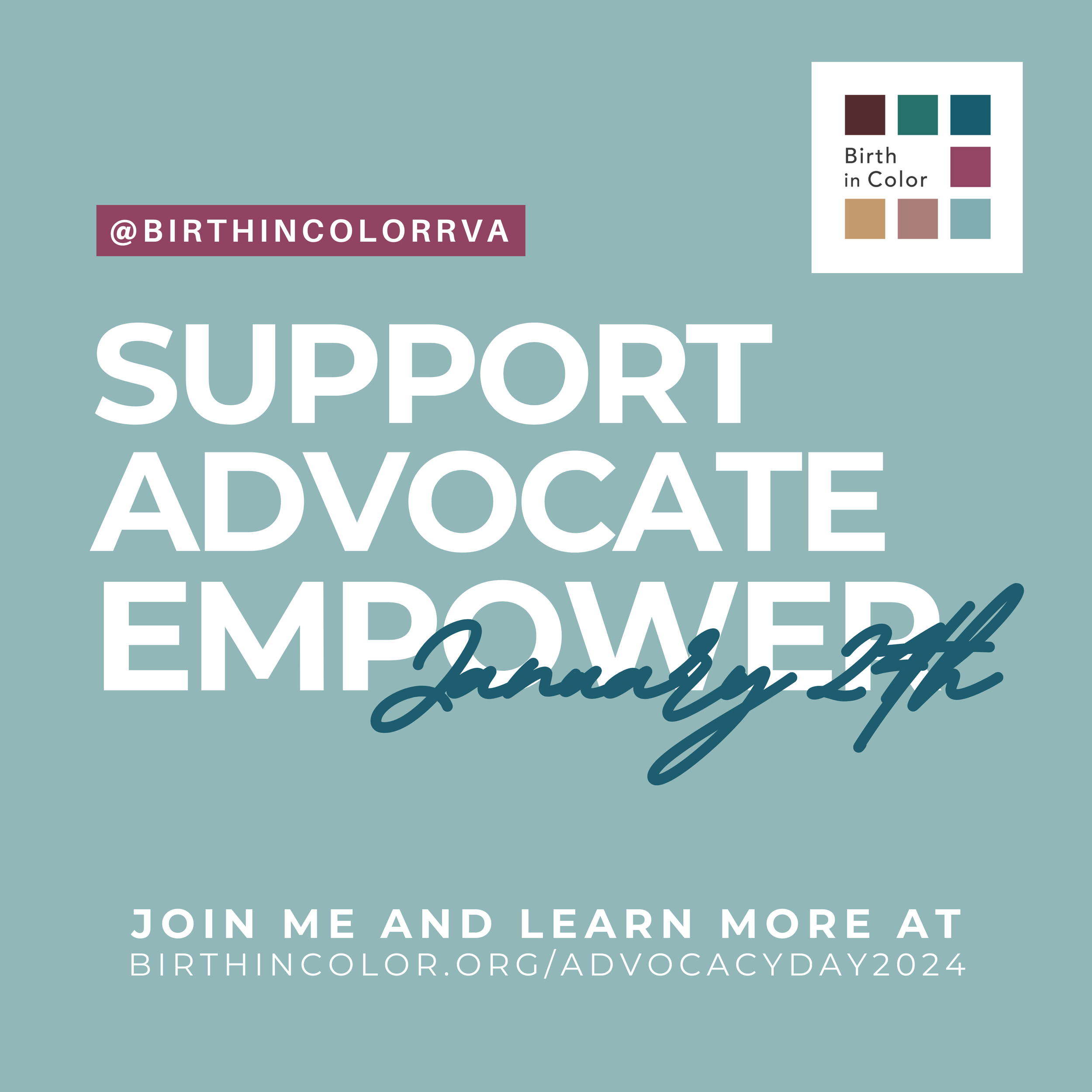 Advocacy Day 2024 - Toolkit — Birth in Color