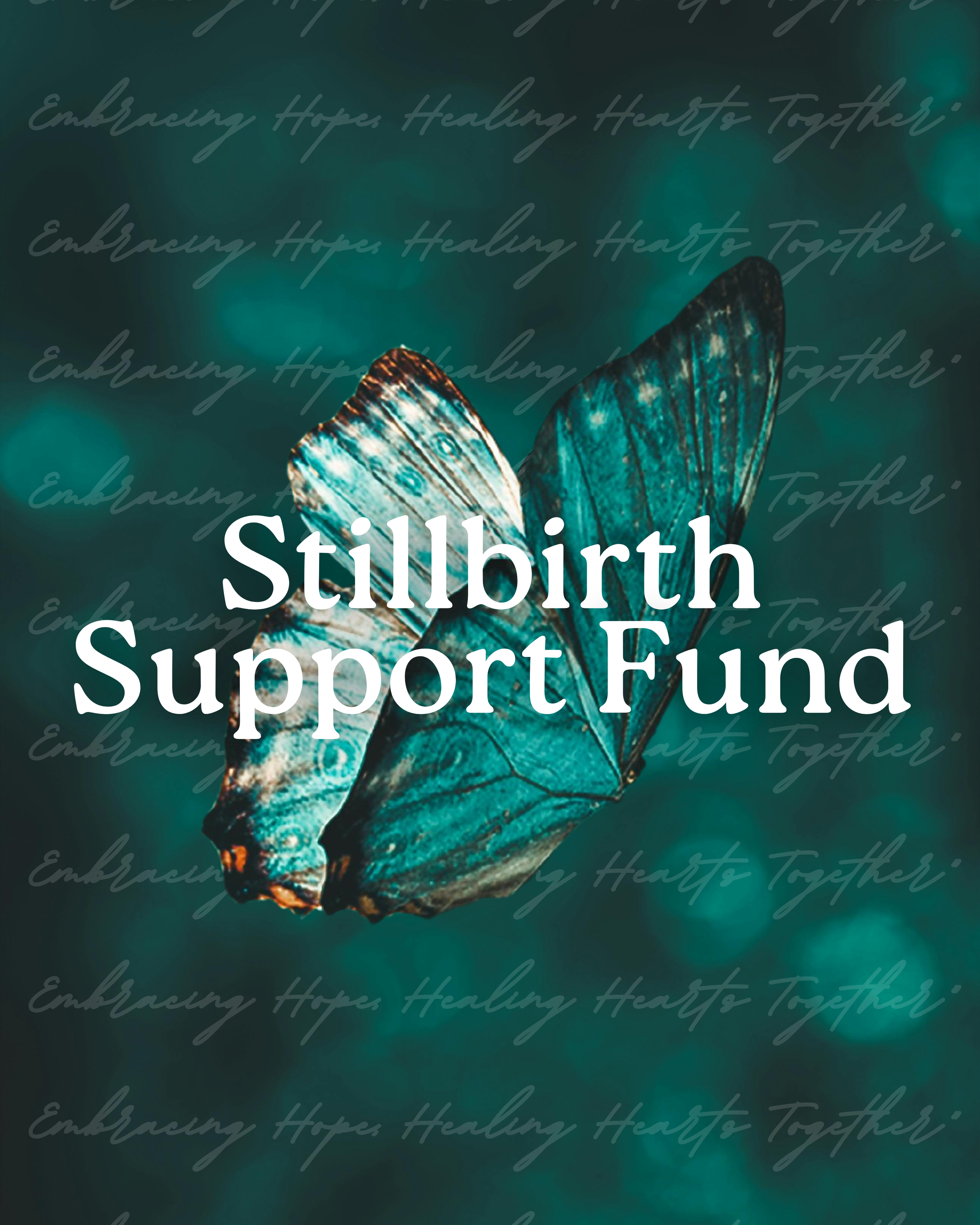 Stillbirth Support Fund — Birth in Color