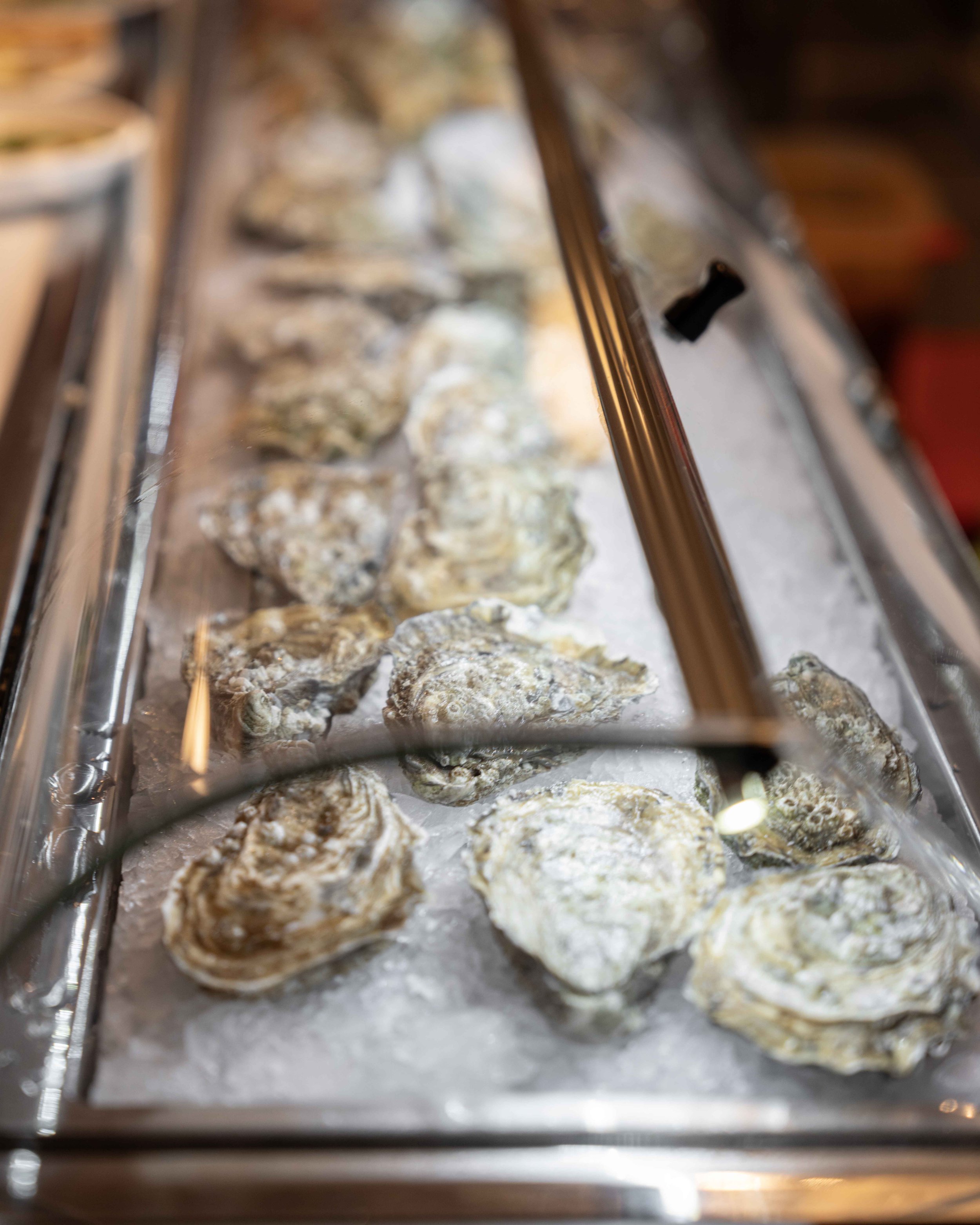 Rabbit’s Bar - Tapas and Vibes — Barcelona Food Experience