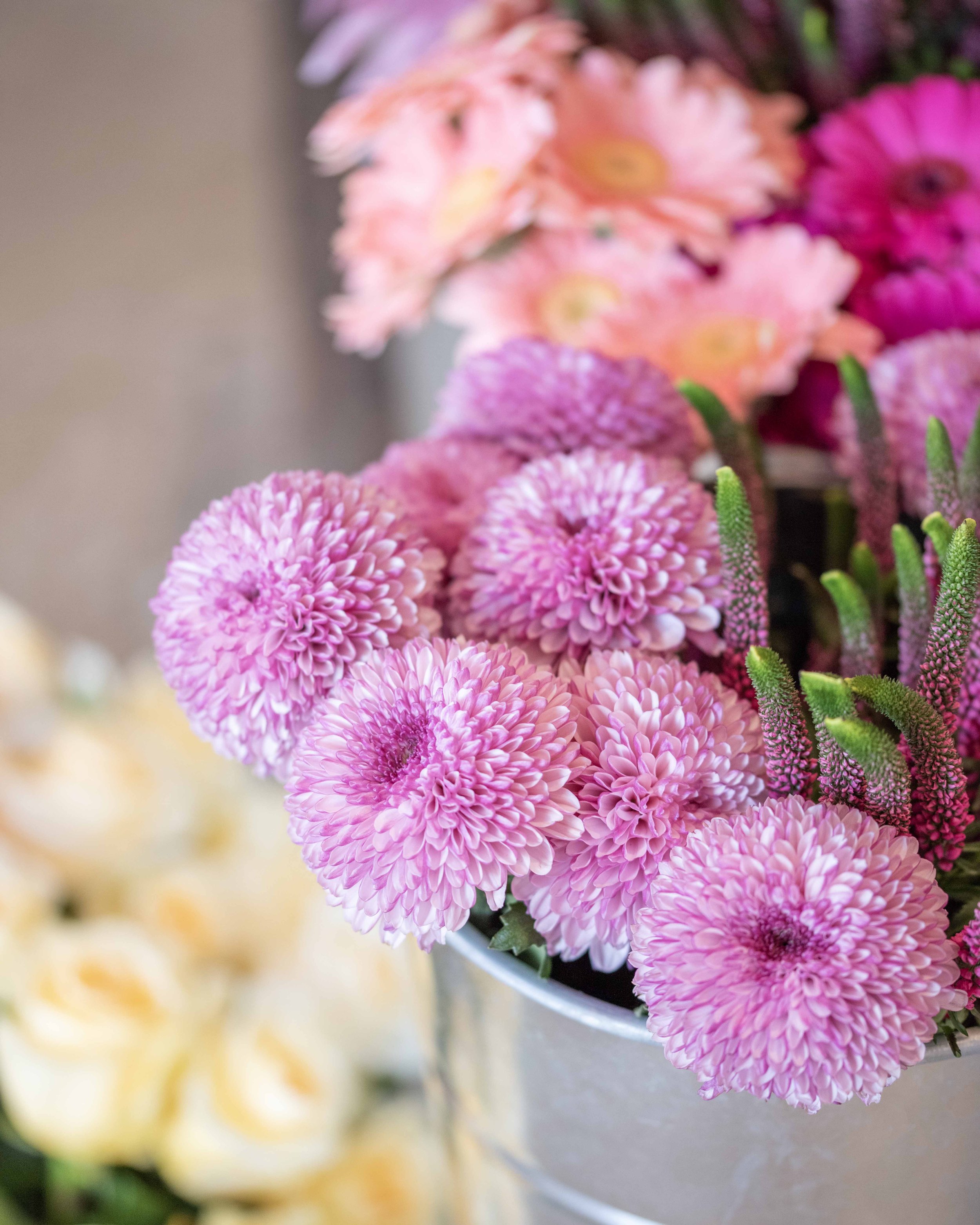 Funky Bakers Deli - Paradise for Food Lovers — Barcelona Food Experience