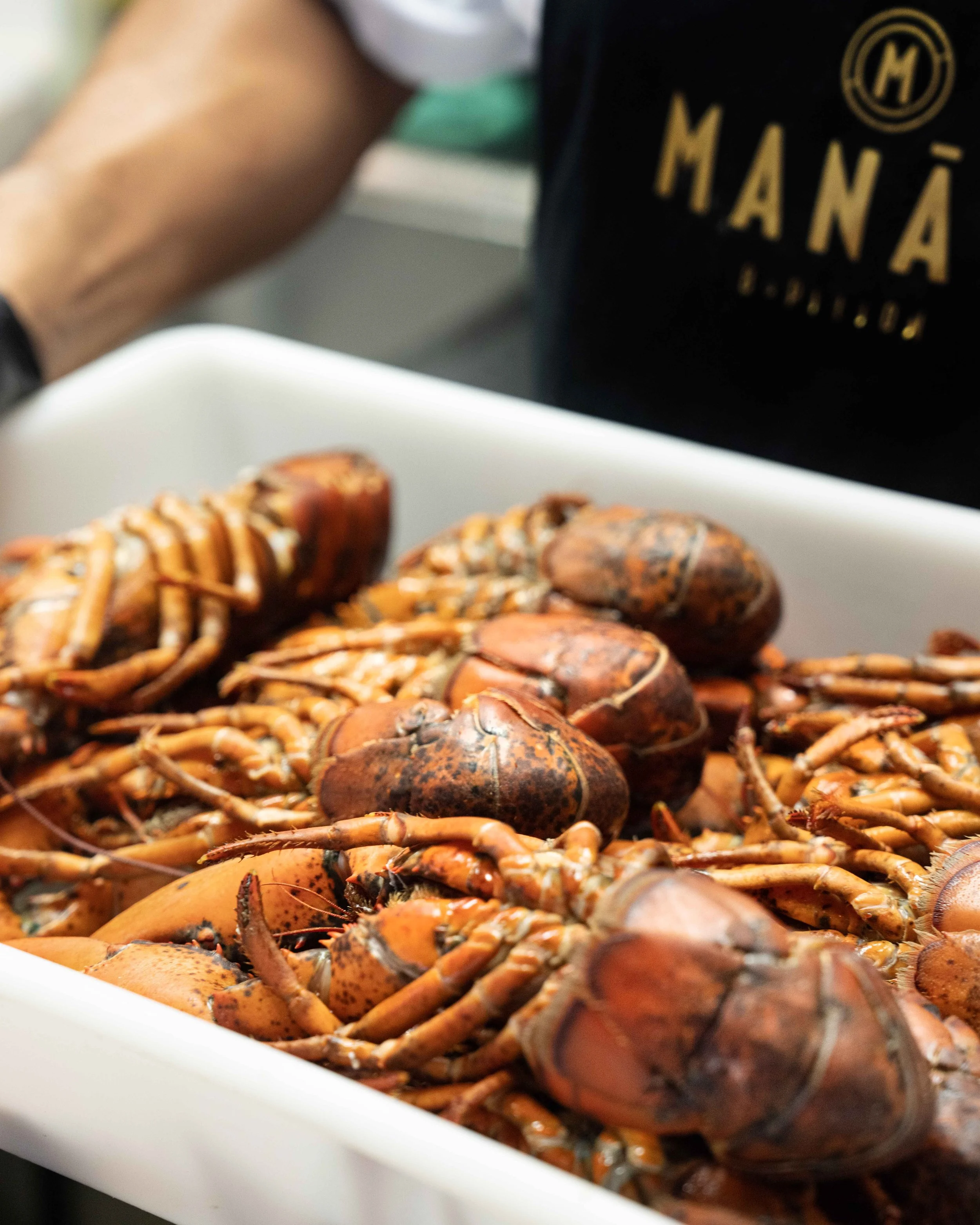 Maná 75 - A Vibrant Paella Experience — Barcelona Food Experience