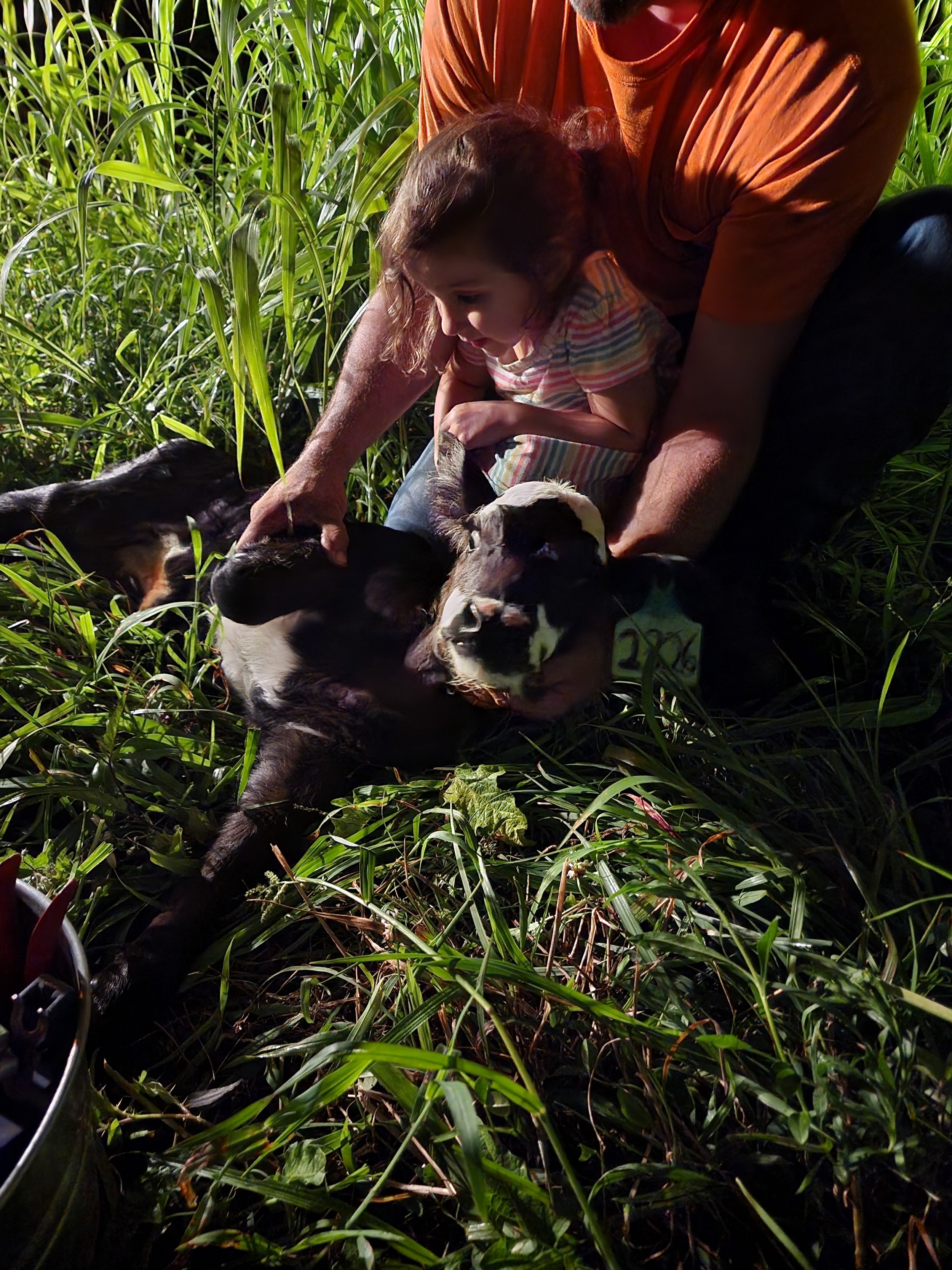 About — Holloway Cattle Company