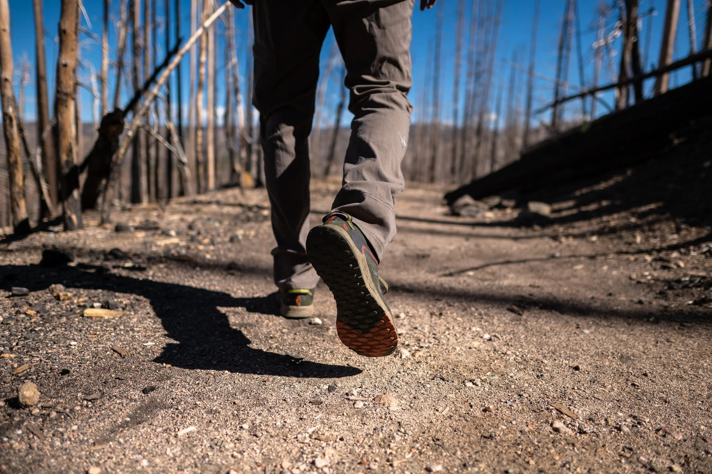 Small Batch Online — Restoration Project