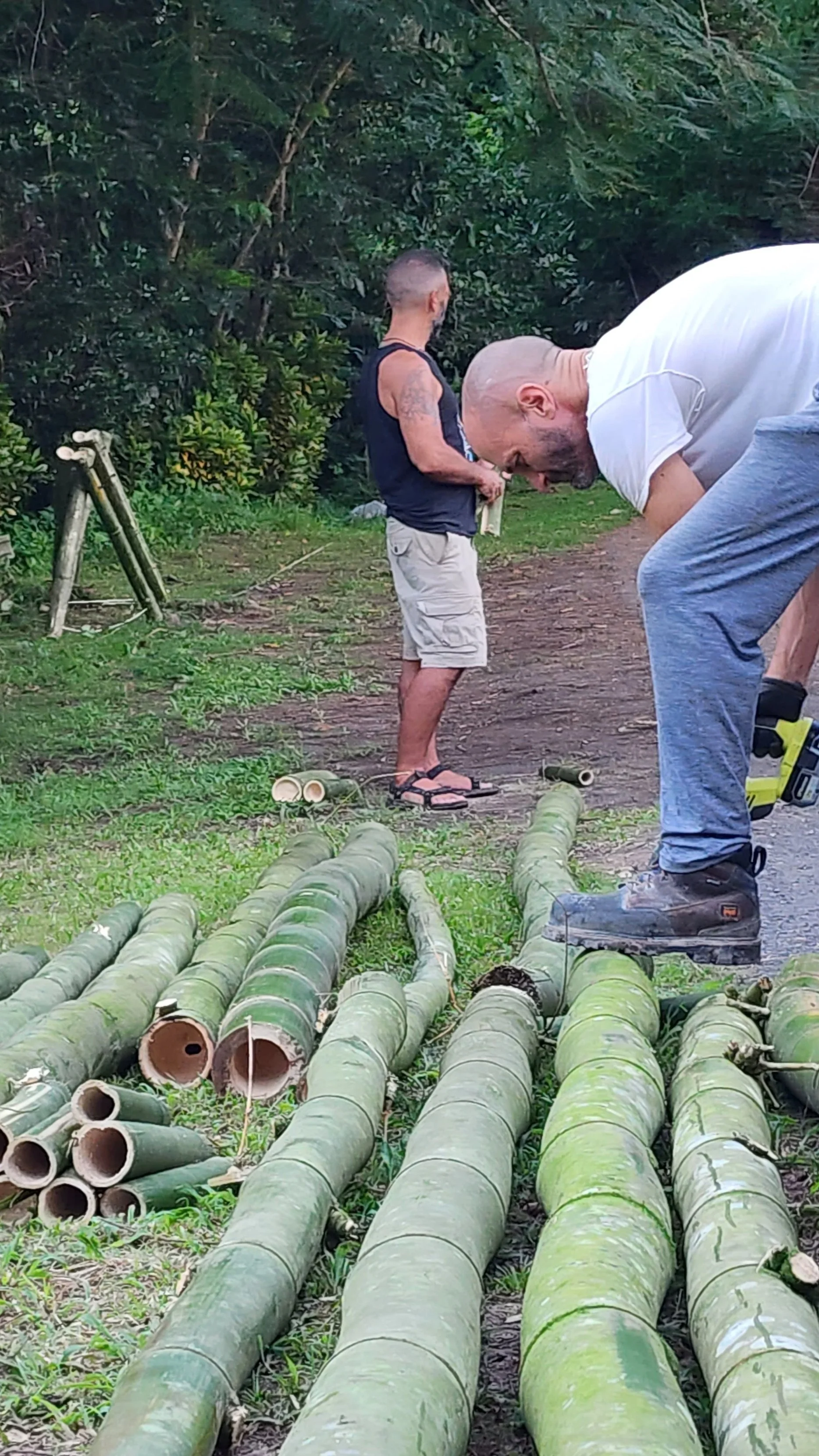 The Versatility of Bamboo in Architecture and Construction — SUMER FARMS