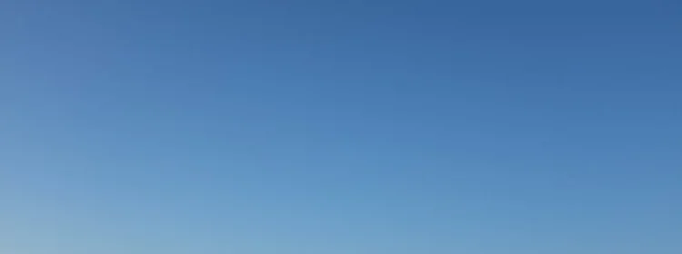 Introduction Flight | Pilot In Training Flight Academy