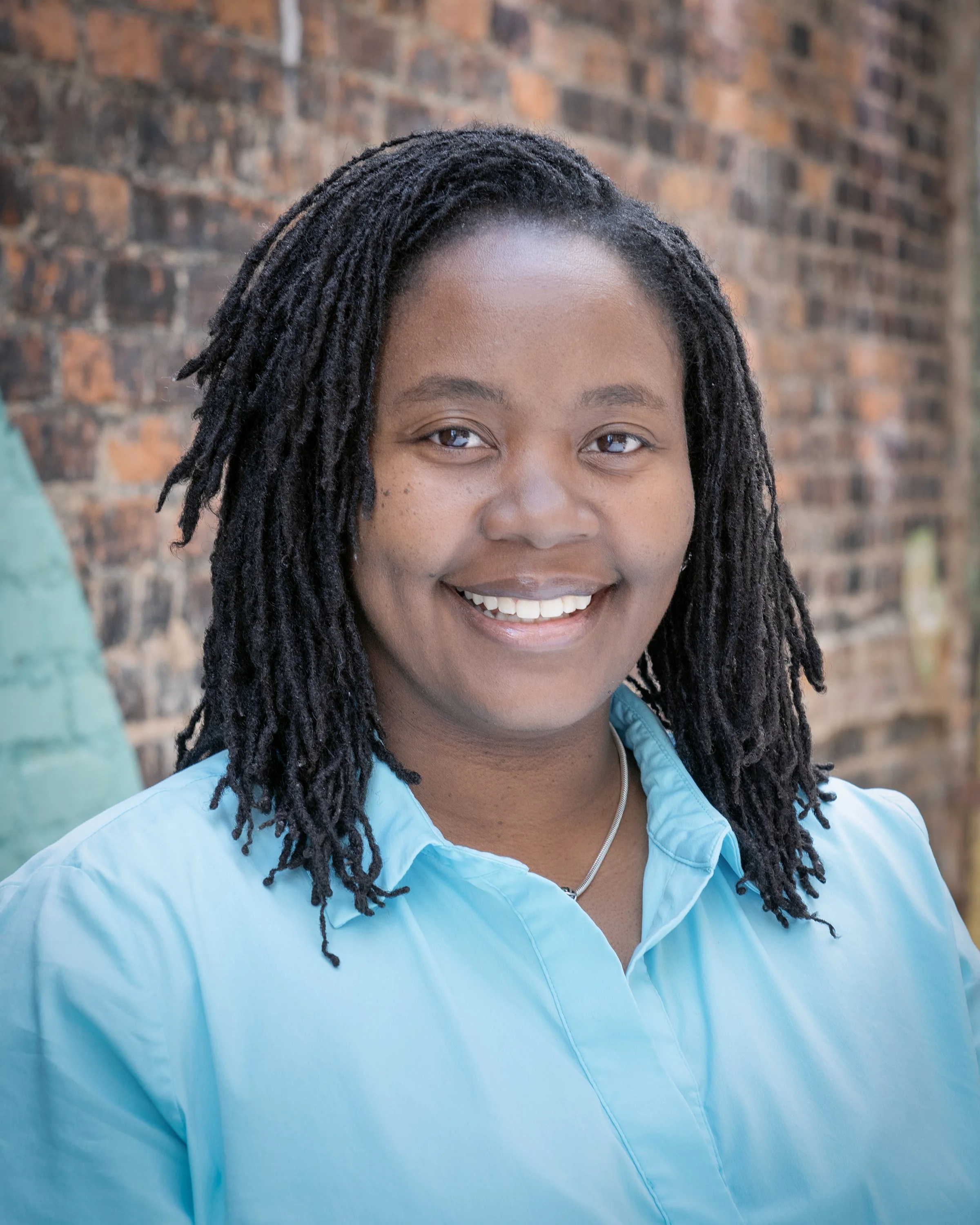 Meet the Party — YCDP: York County SC Democratic Party