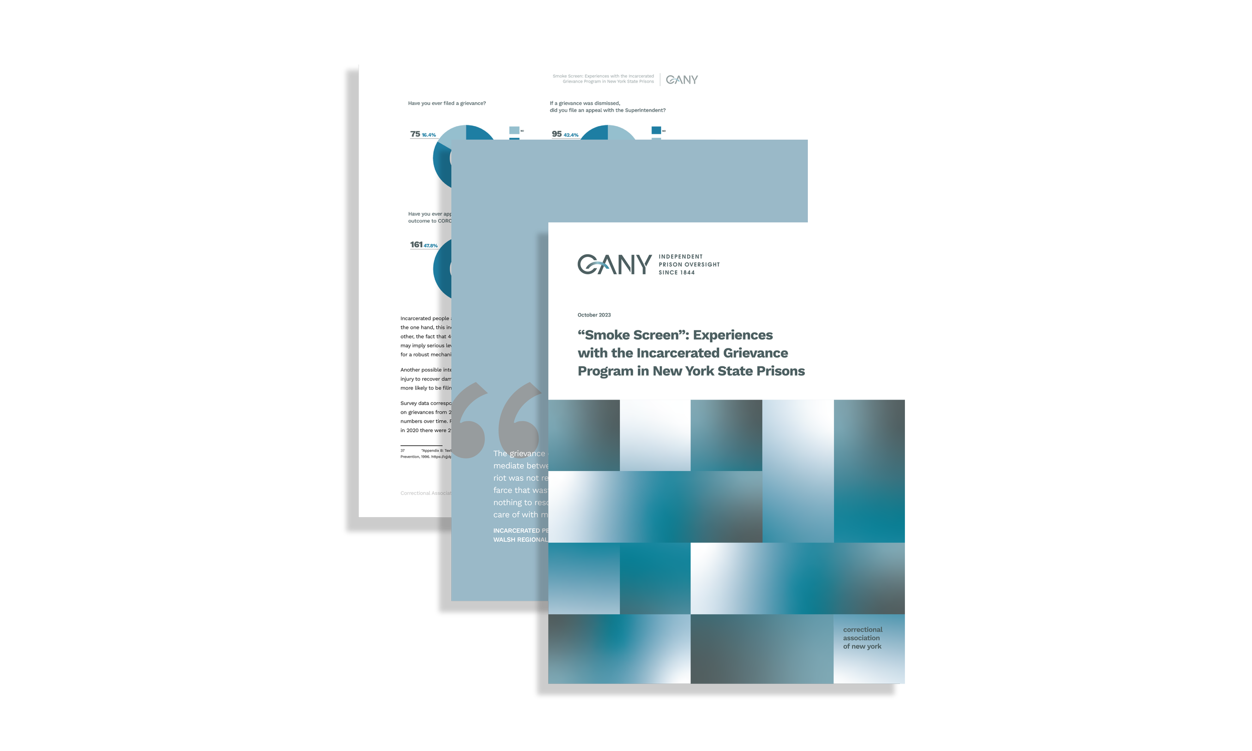 Issue Based Reports and Fact Sheets — Correctional Association of New York