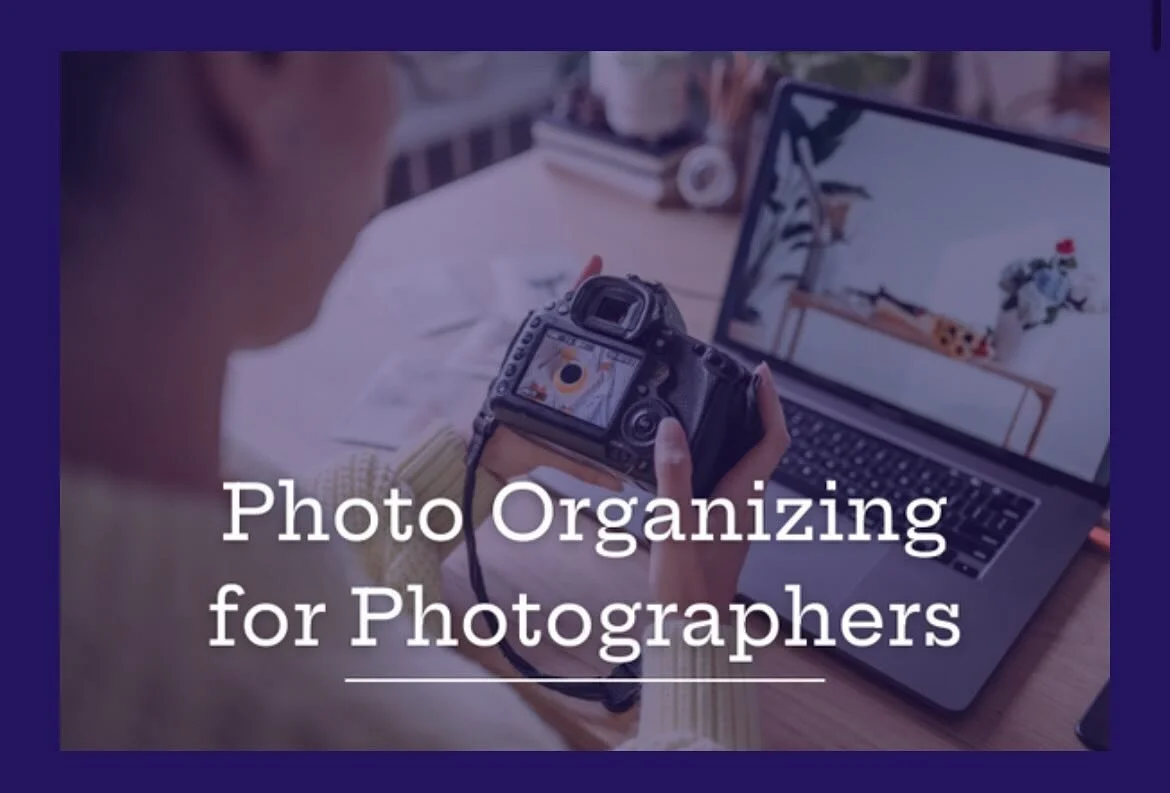 WHY A PHOTOGRAPHER SHOULD CONSIDER OFFERING PHOTO ORGANIZING SERVICES ...