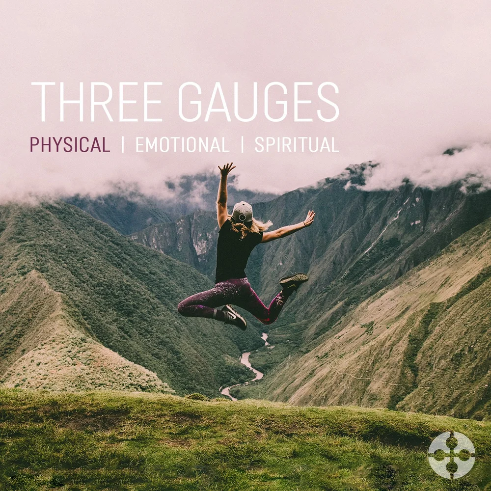 Three Gauges: Physical — Mike Labrum