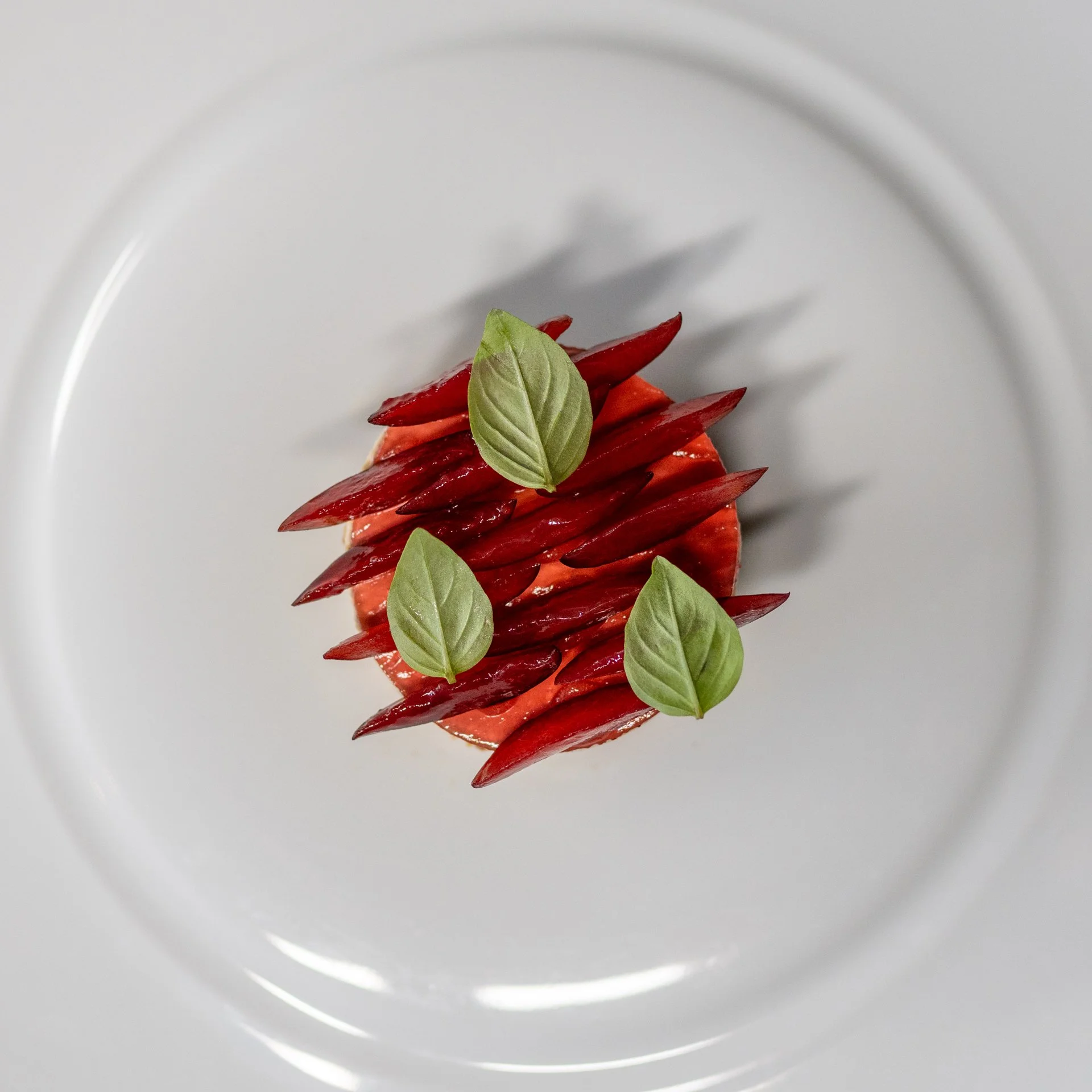 Gallery — Georgia Boy