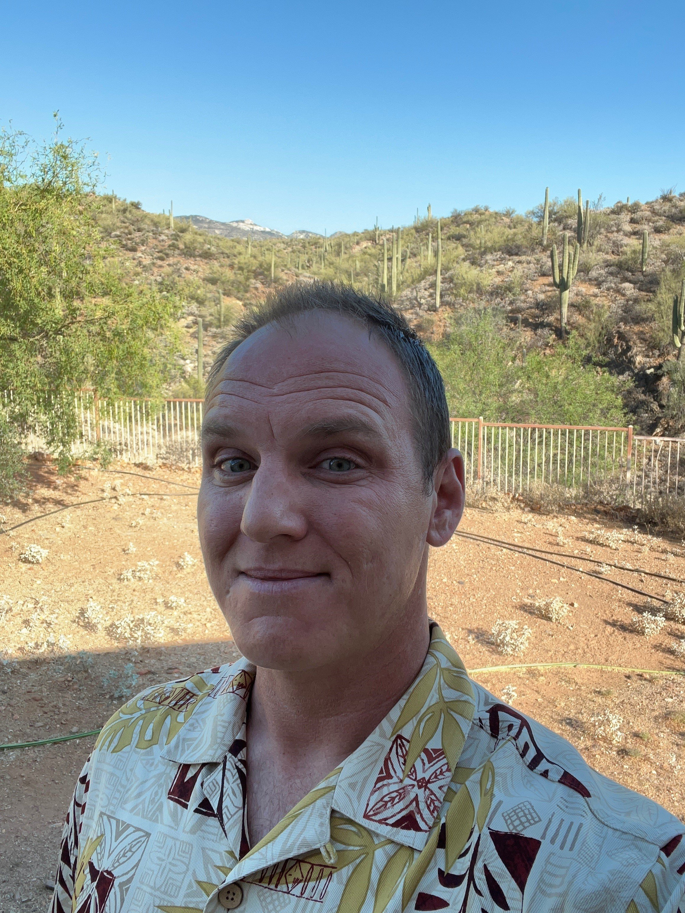 Tim Bulfer — MLP Tim Bulfer — MLP