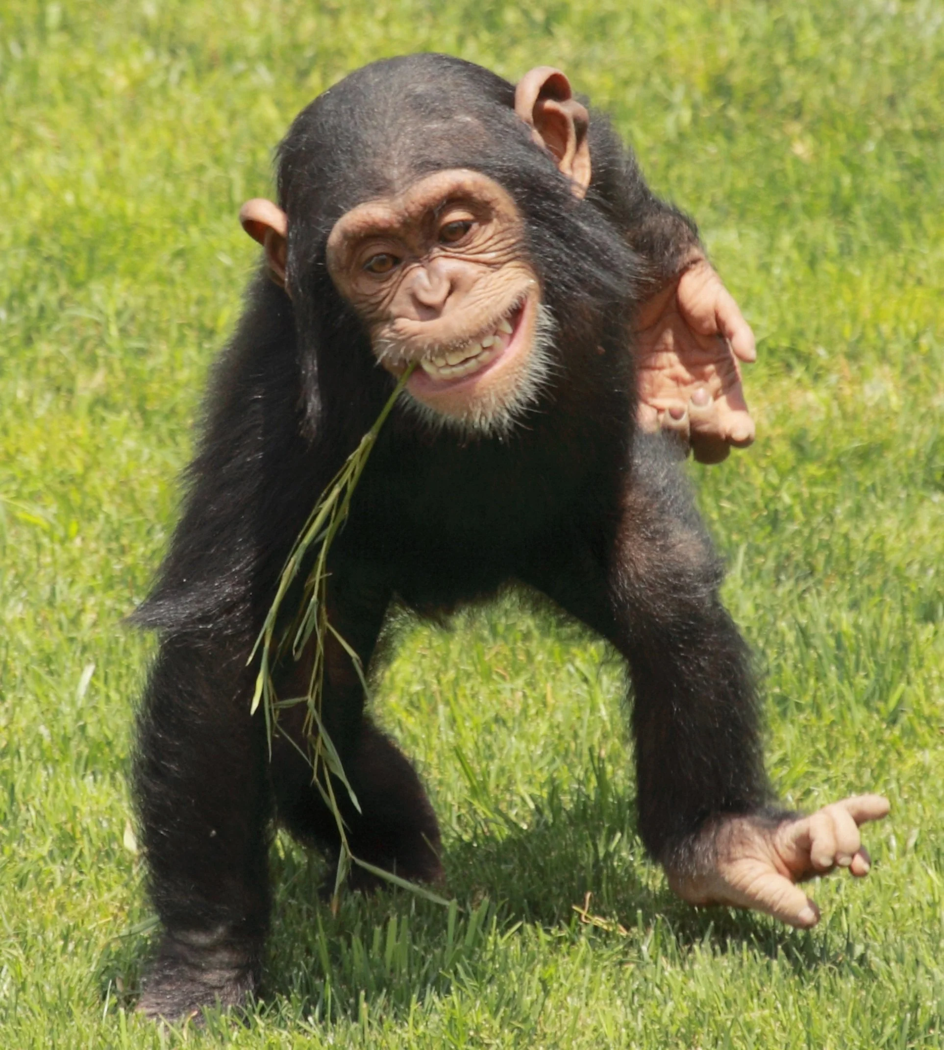 Do You Know How To Use Your Thumbs (So They Don’t Wear Out)? — Dr. Nick ...