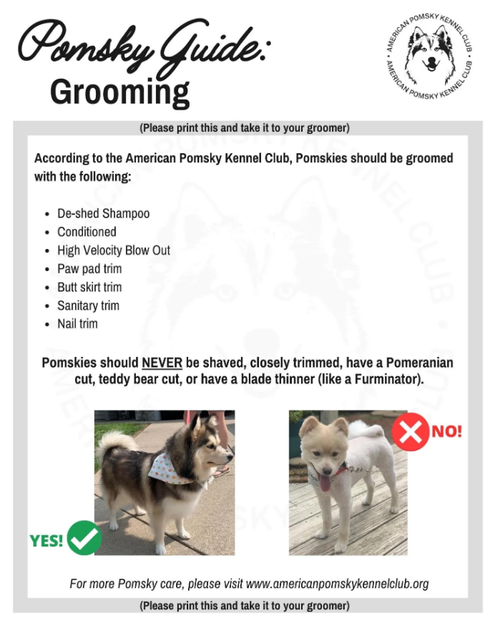 Pomsky Grooming — Pathfinder Pomskies