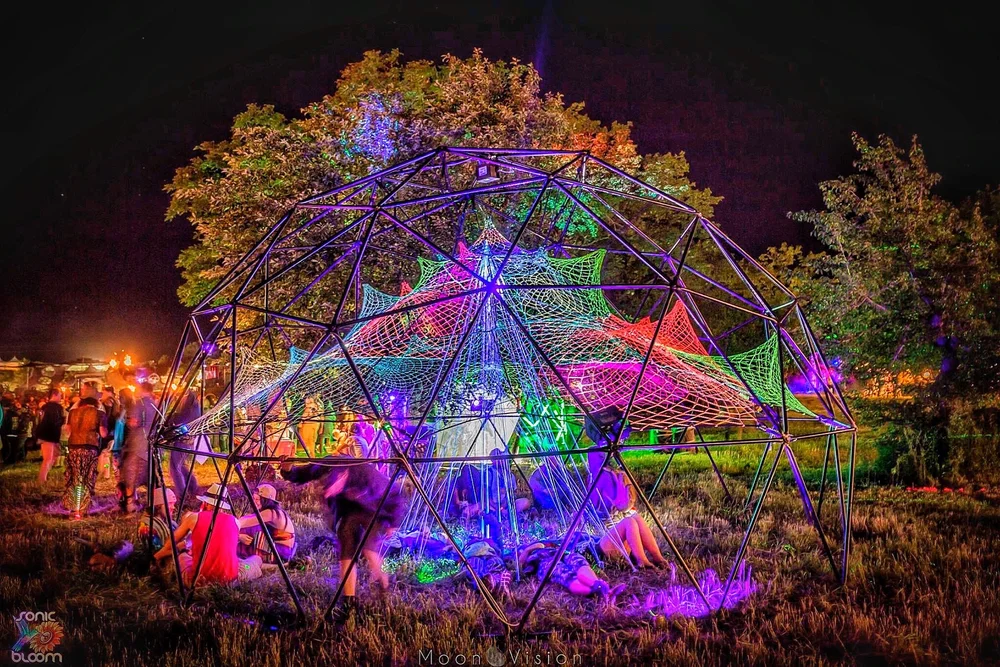 TreeNet Willy Services | Custom Tree Net Design & Installation ...